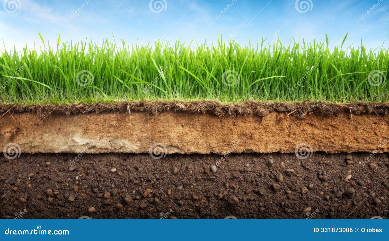 Grass and Soil Cross Section Layers of Nature, Soil , Cross Section ...