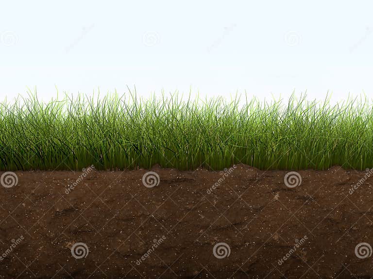 Grass and soil stock image. Image of spring, growing - 46603061