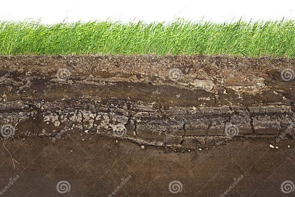 Grass and Soil Layers Isolated on White Stock Photo - Image of brown ...