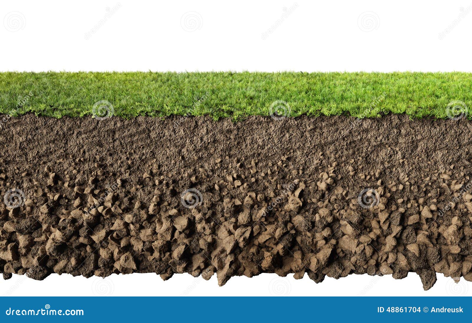 Grass and soil stock illustration. Illustration of meadow - 48861704