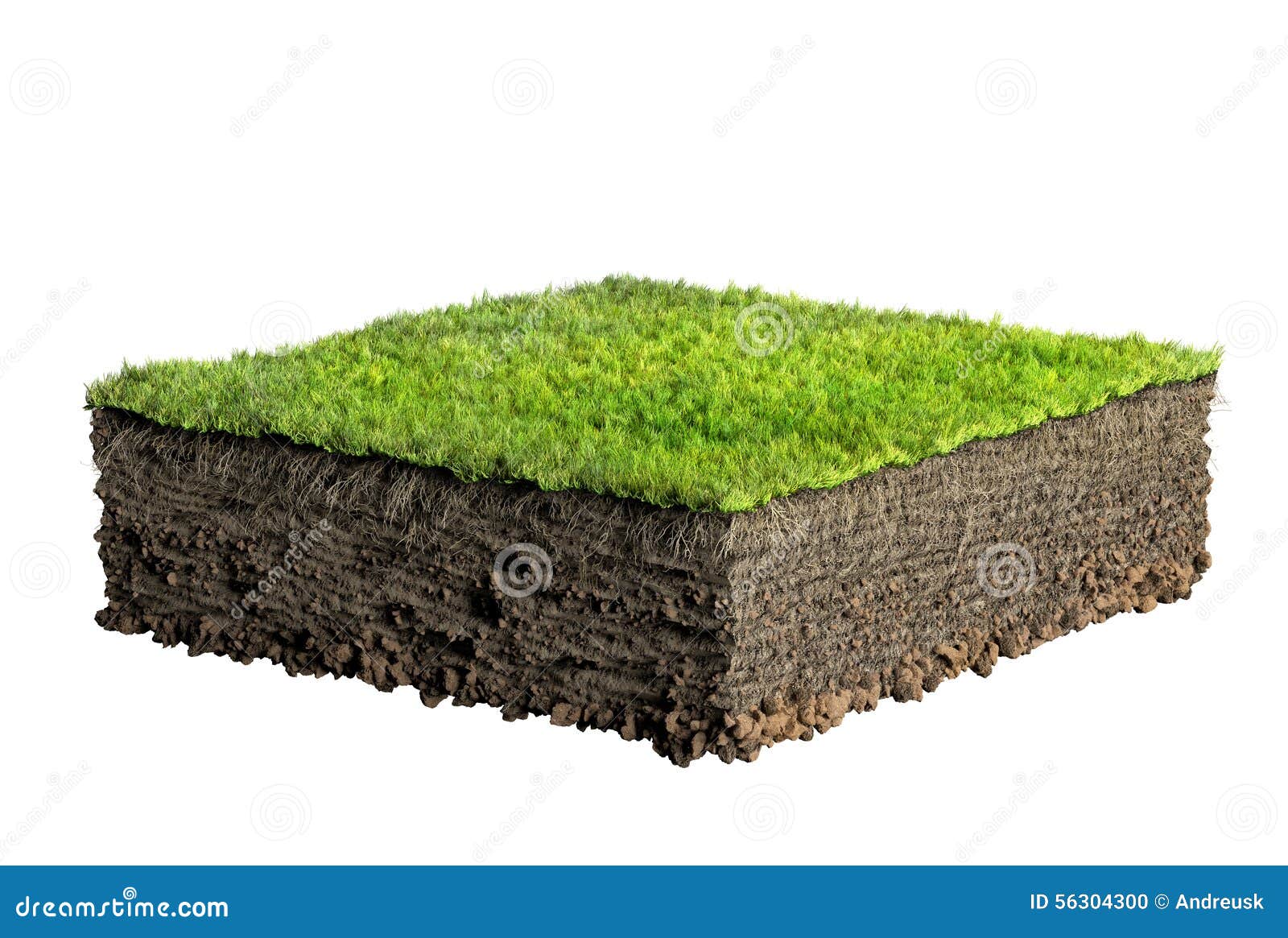 Grass and soil profile stock photo. Illustration of environment - 56304300