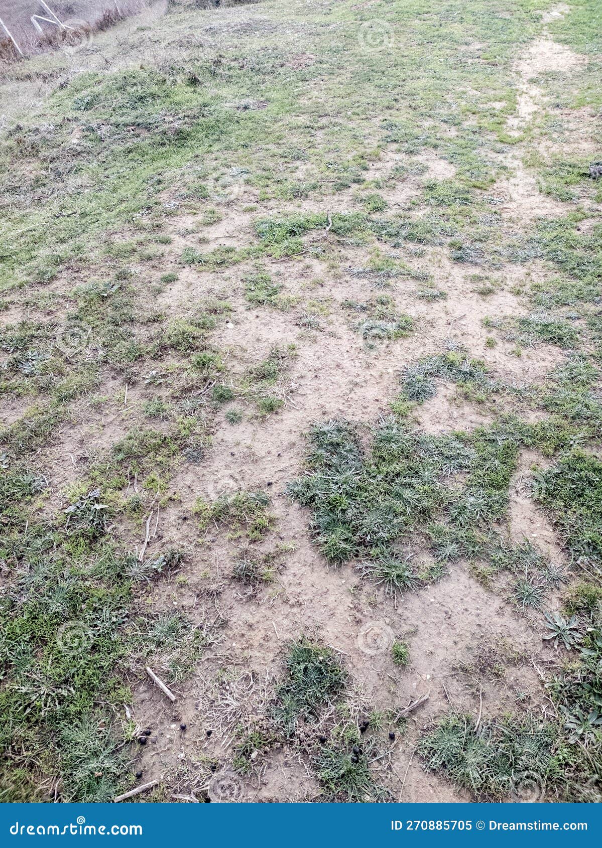 Grass and Soil Texture for Background Stock Image - Image of field ...