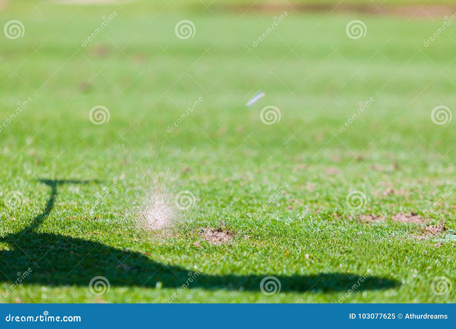 Grass Splash after Golf Player Hitting Ball Stock Image - Image of ...
