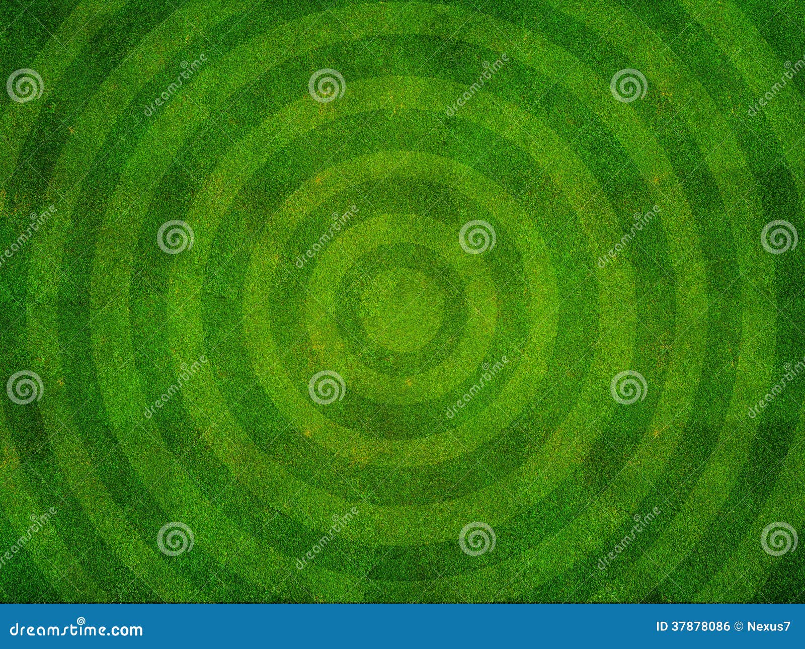 Grass Sports Field Top View Stock Photo - Image of arena, sports: 37878086