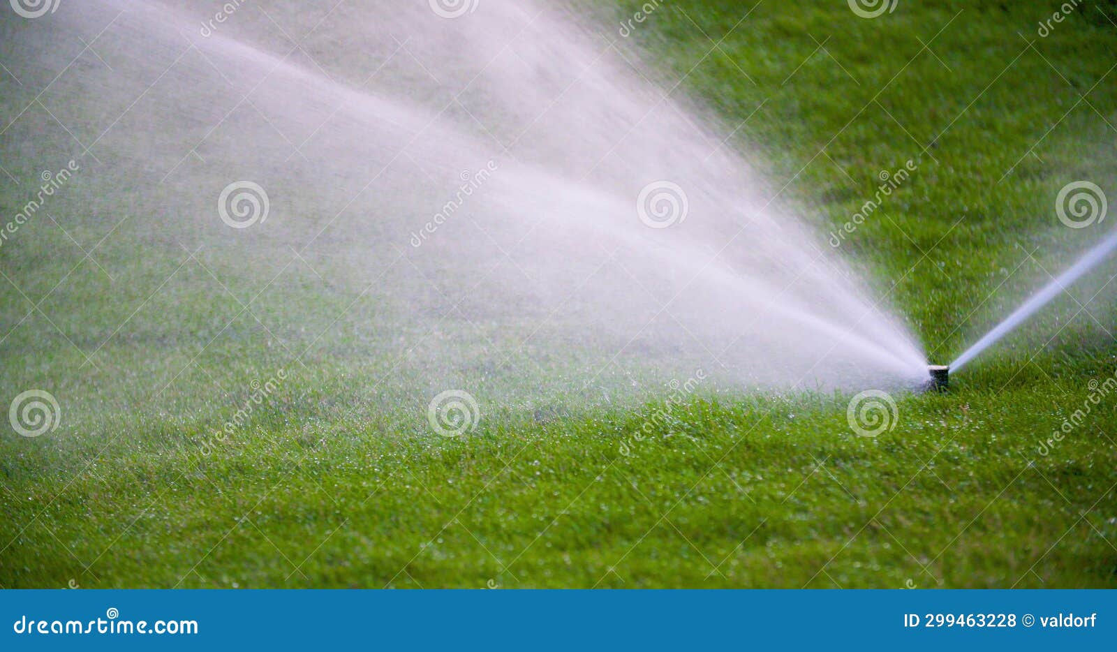 Medium Shot of Grass Sprinkler Splashes Water Over the Lawn Stock Photo ...