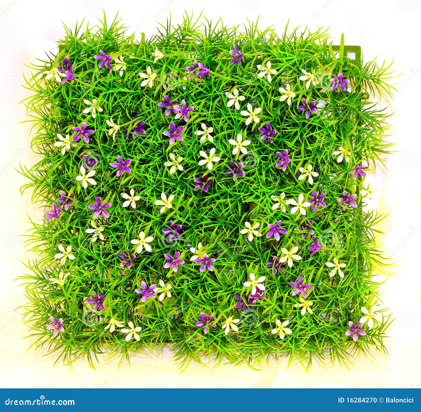 Grass square stock photo. Image of artificial, natural - 16284270