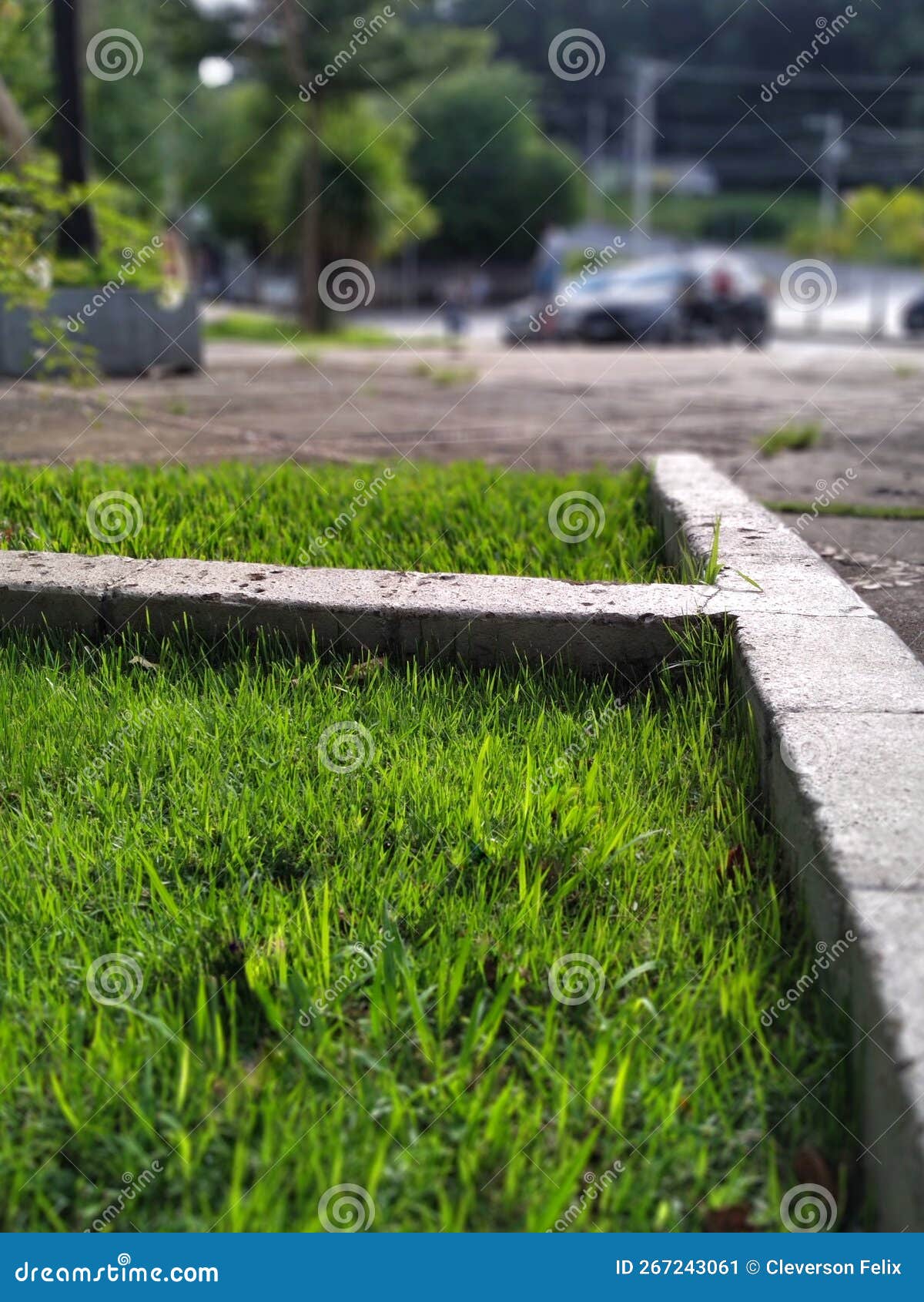 Grass in a Square with a Beautiful Sunset on a Late Summer Afternoon ...