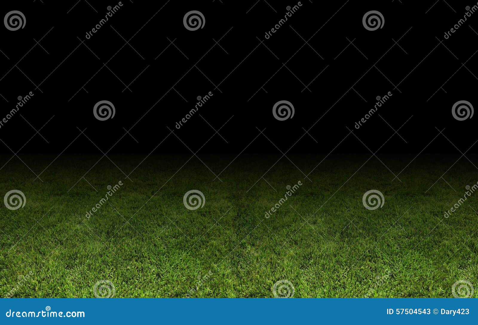 Grass at the stadium. stock image. Image of arena, lawn - 57504543