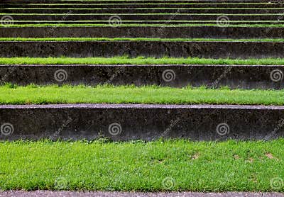Grass stairs stock image. Image of staircase, lawn, closeup - 16354163
