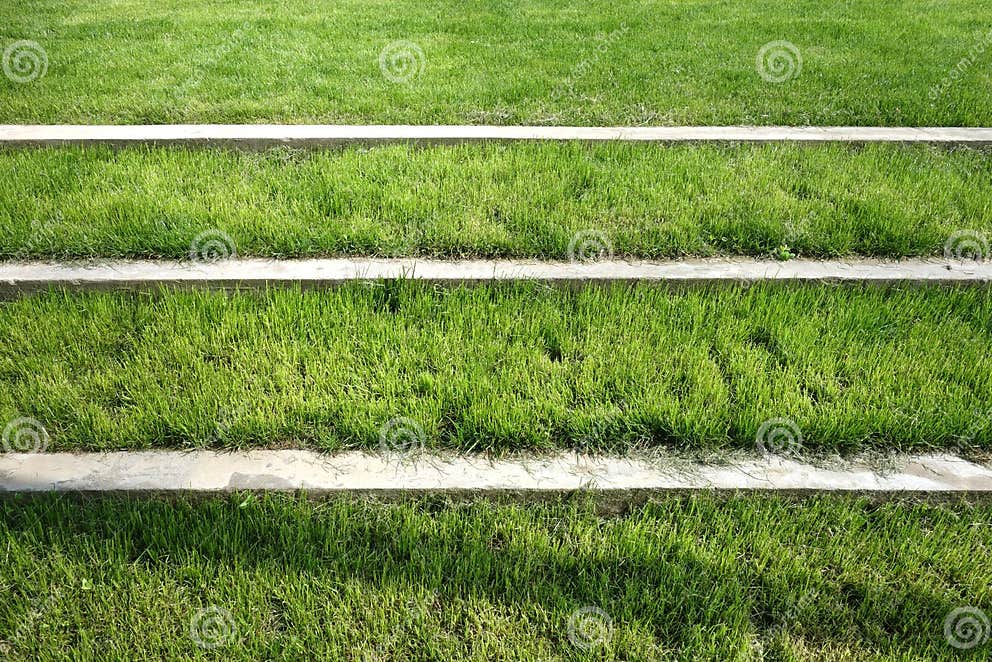 Grass Steps stock photo. Image of success, successful - 43691088