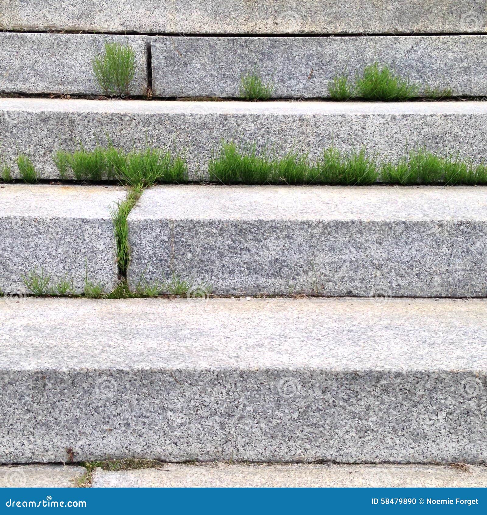 Grass between steps stock photo. Image of stairs, takes - 58479890