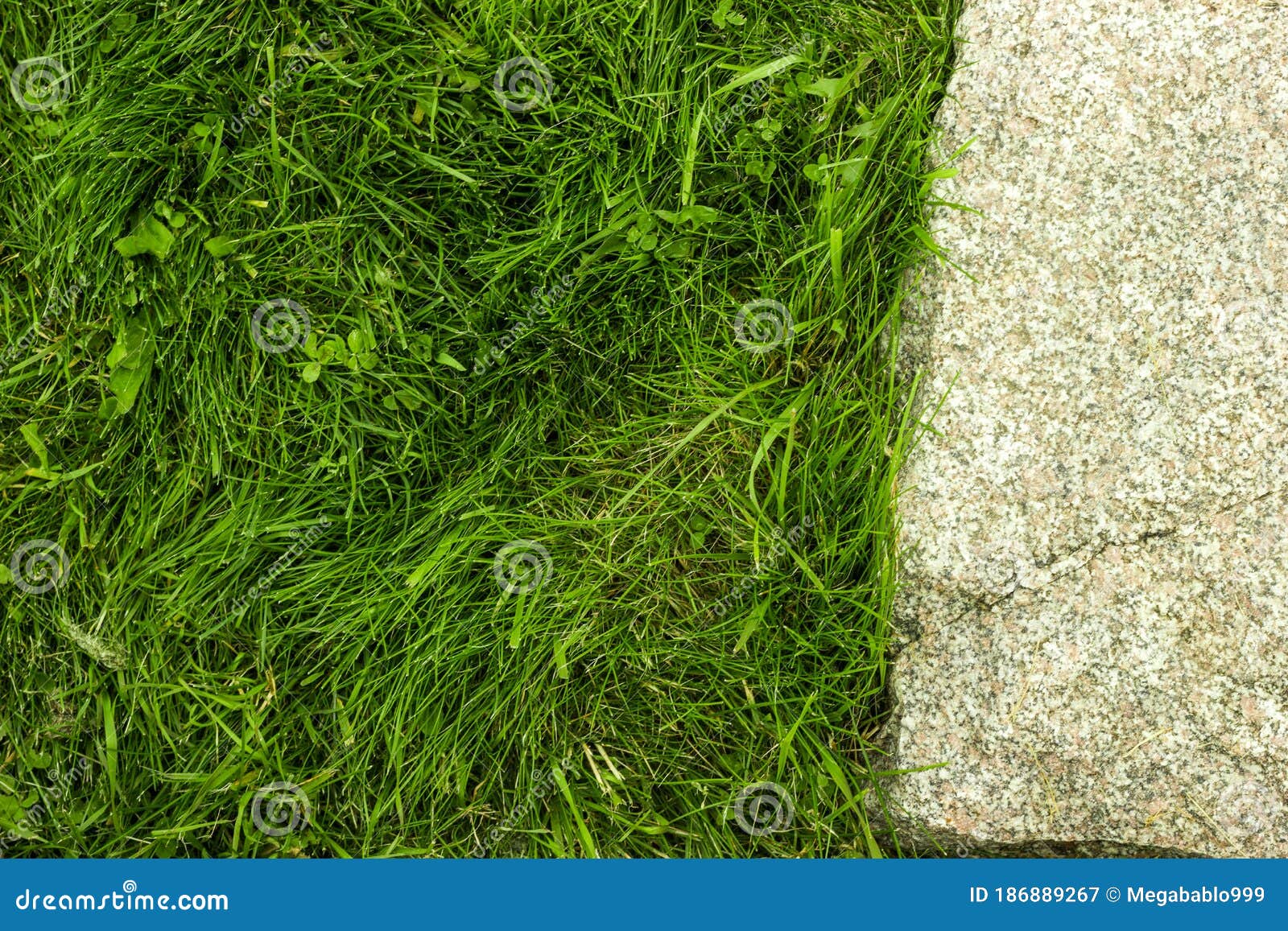 Grass and Stone Down. Top View Stock Image - Image of natural, nature ...