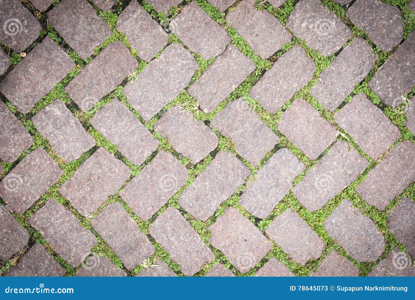 Grass Stone Floor Texture Pavement Design. Stock Image - Image of moss ...