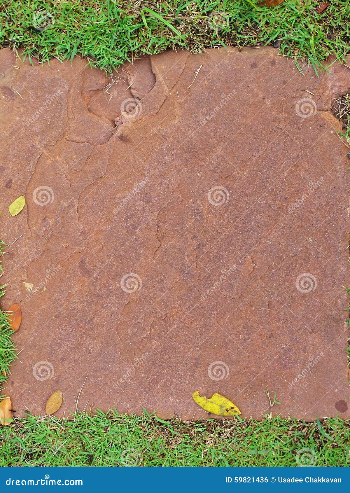 Grass and stone stock photo. Image of park, stones, geology - 59821436