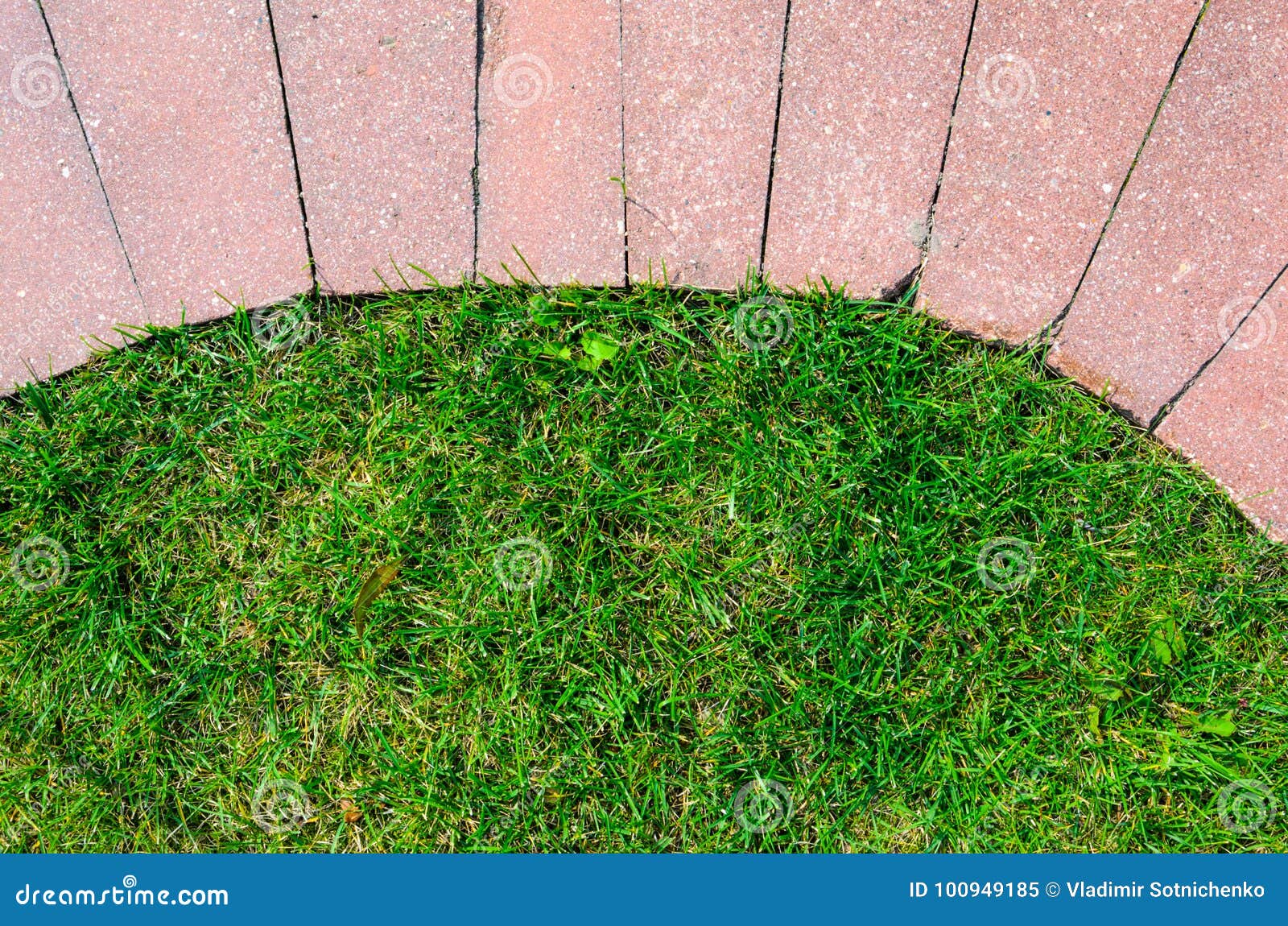 Grass and Stone Pavement Texture Stock Image - Image of lawn, outdoor ...