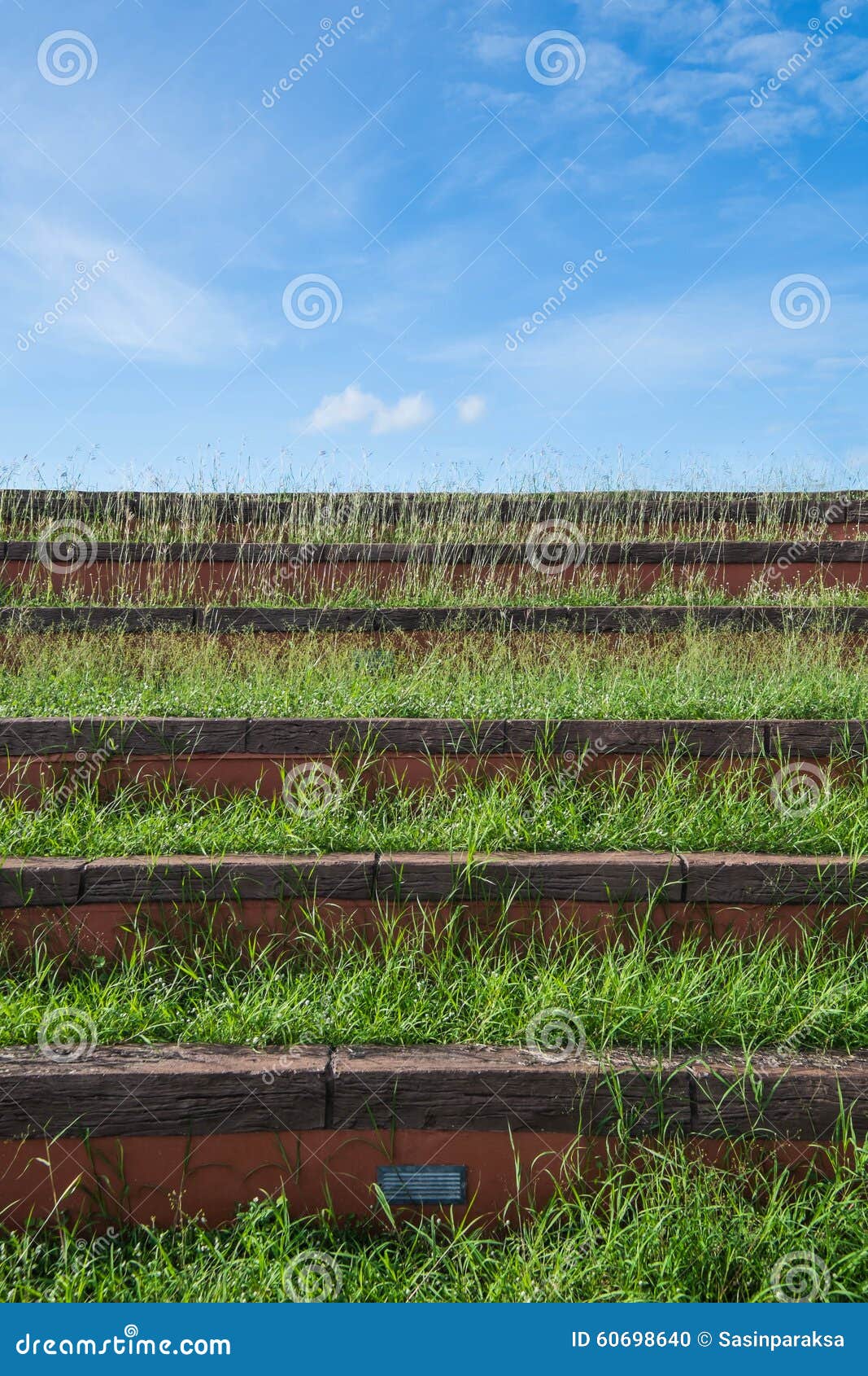 Grass on Stone Step with Blue Sky Stock Photo - Image of overgrown ...