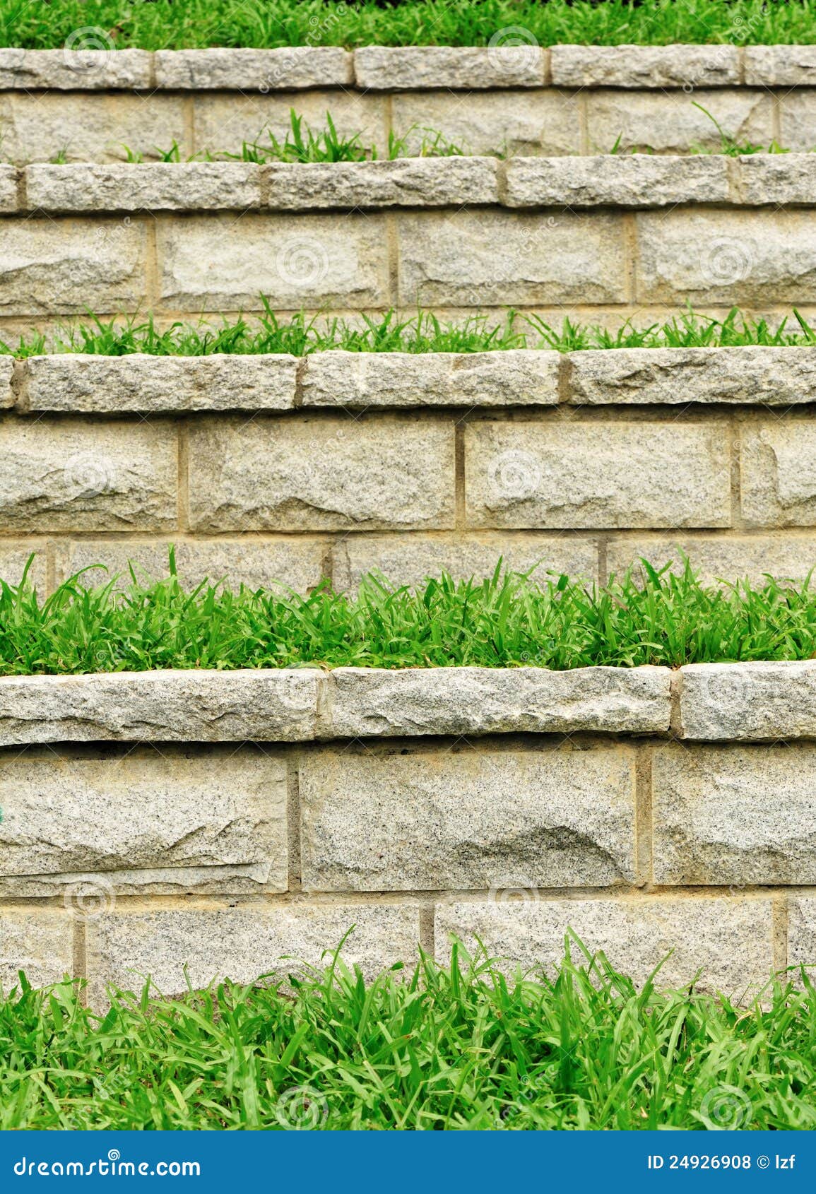 Grass and stone steps stock photo. Image of path, footway - 24926908