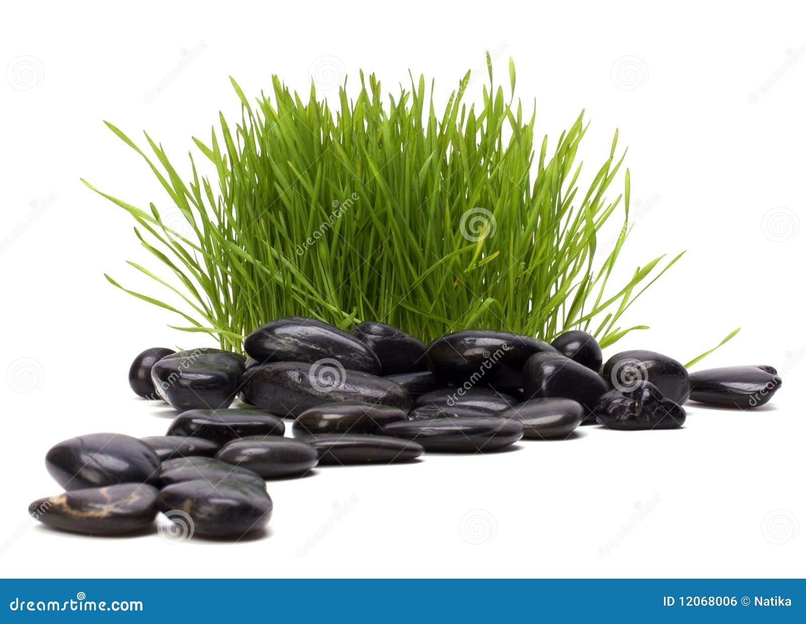 Grass and stones stock photo. Image of peaceful, pebble - 12068006