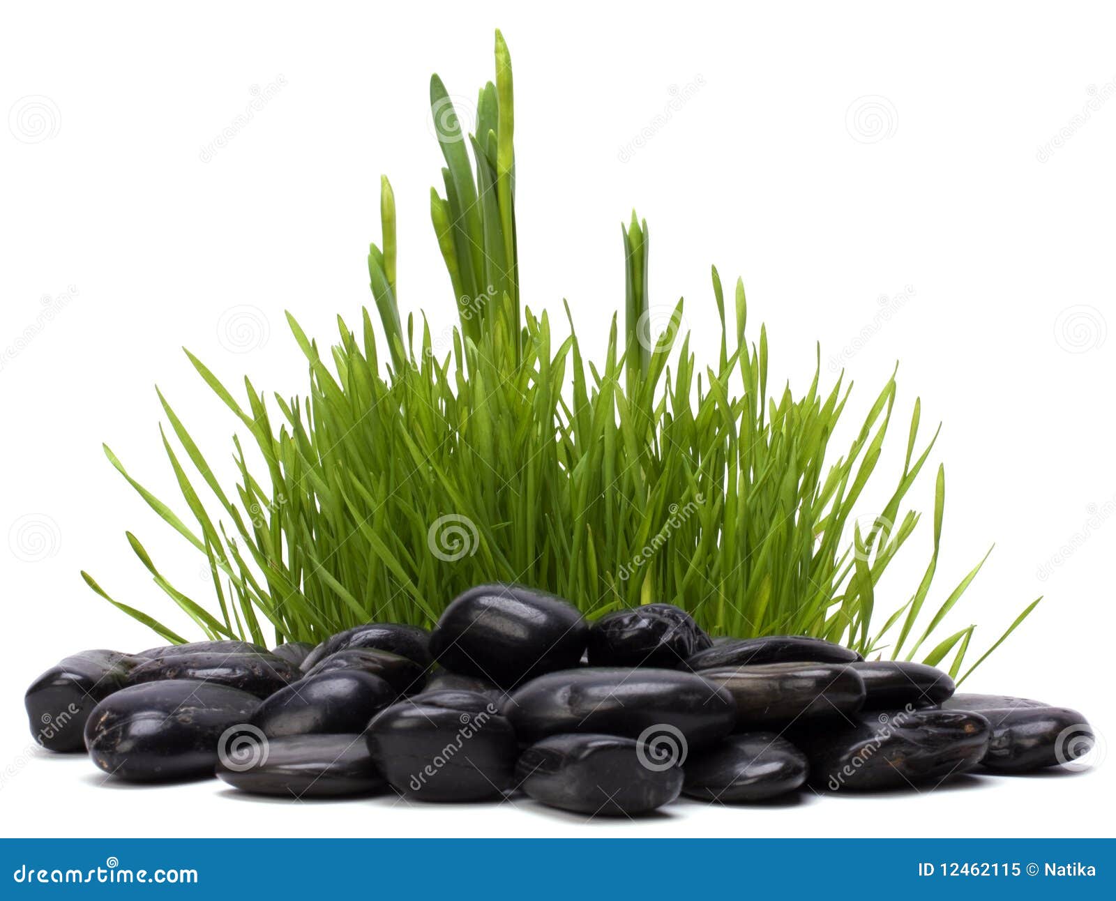 Grass and stones stock image. Image of recreation, natural - 12462115