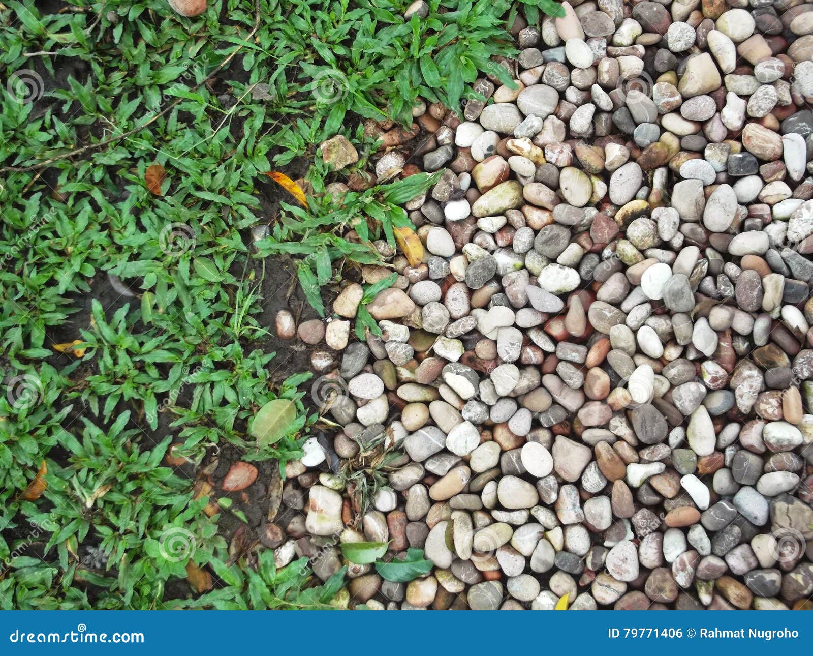 Grass stones stock photo. Image of green, lawn, construction - 79771406