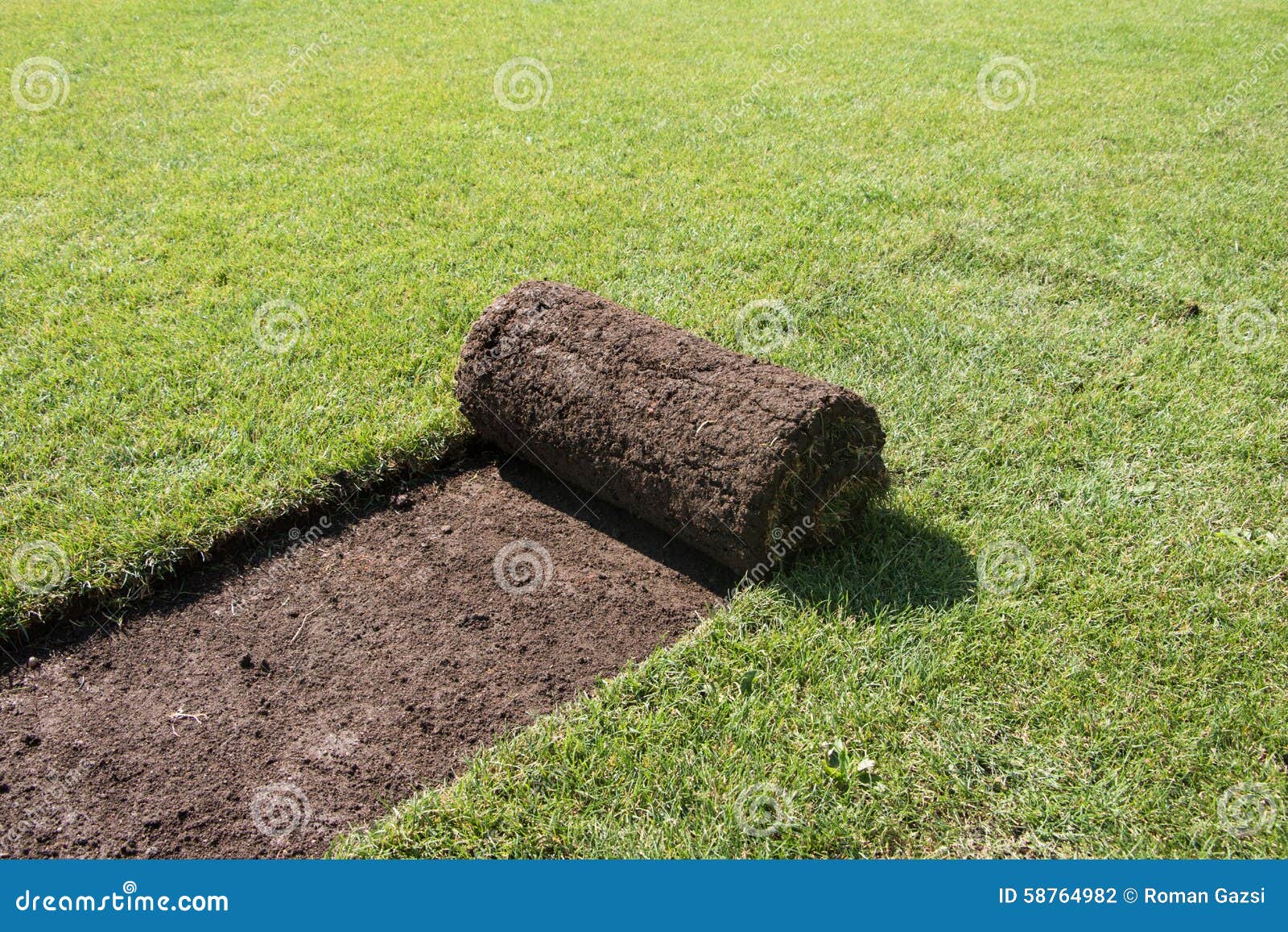 Grass strip stock photo. Image of gardener, maintenance - 58764982