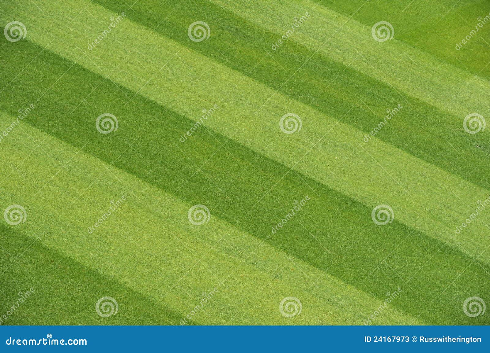 Grass stripes stock image. Image of sport, stripe, green - 24167973