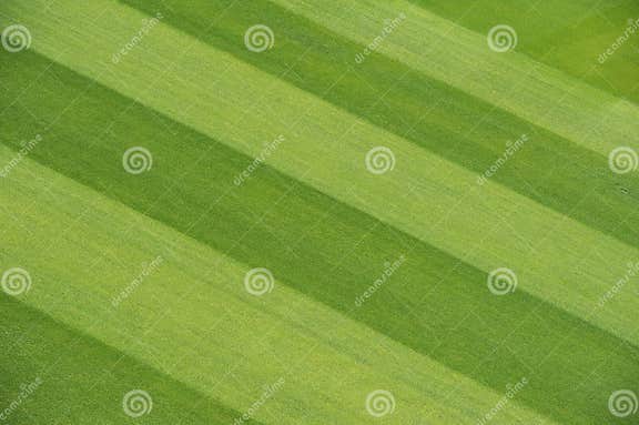 Grass stripes stock image. Image of sport, stripe, green - 24167973