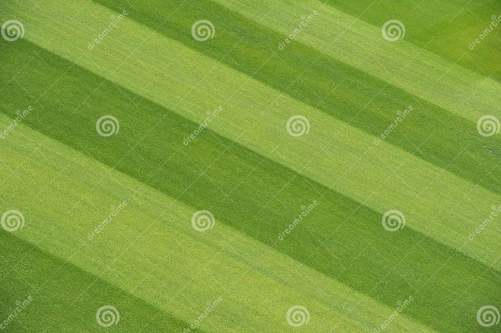 Grass stripes stock image. Image of sport, stripe, green - 24167973