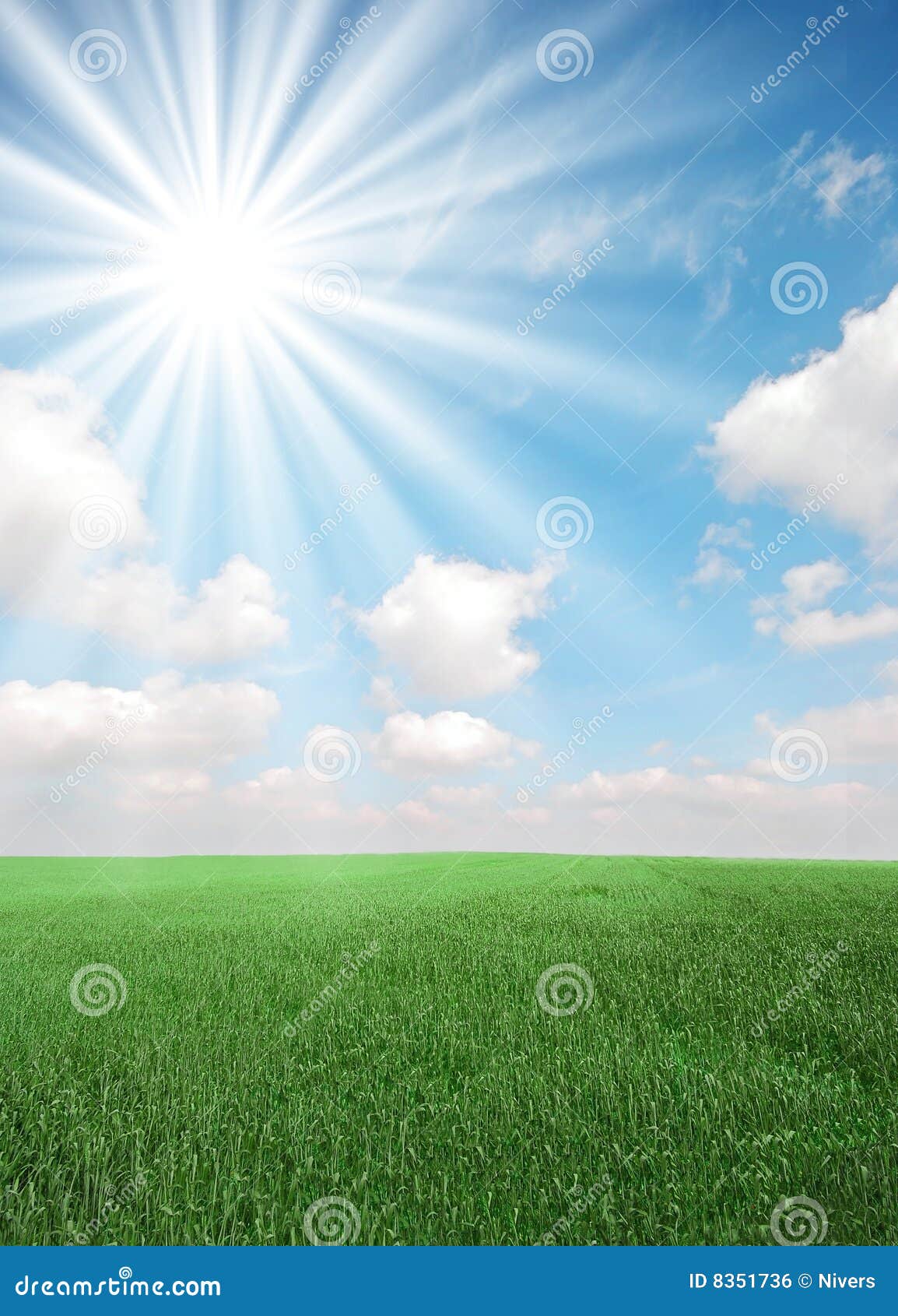 Grass and sun stock photo. Image of horizontal, land, environment - 8351736