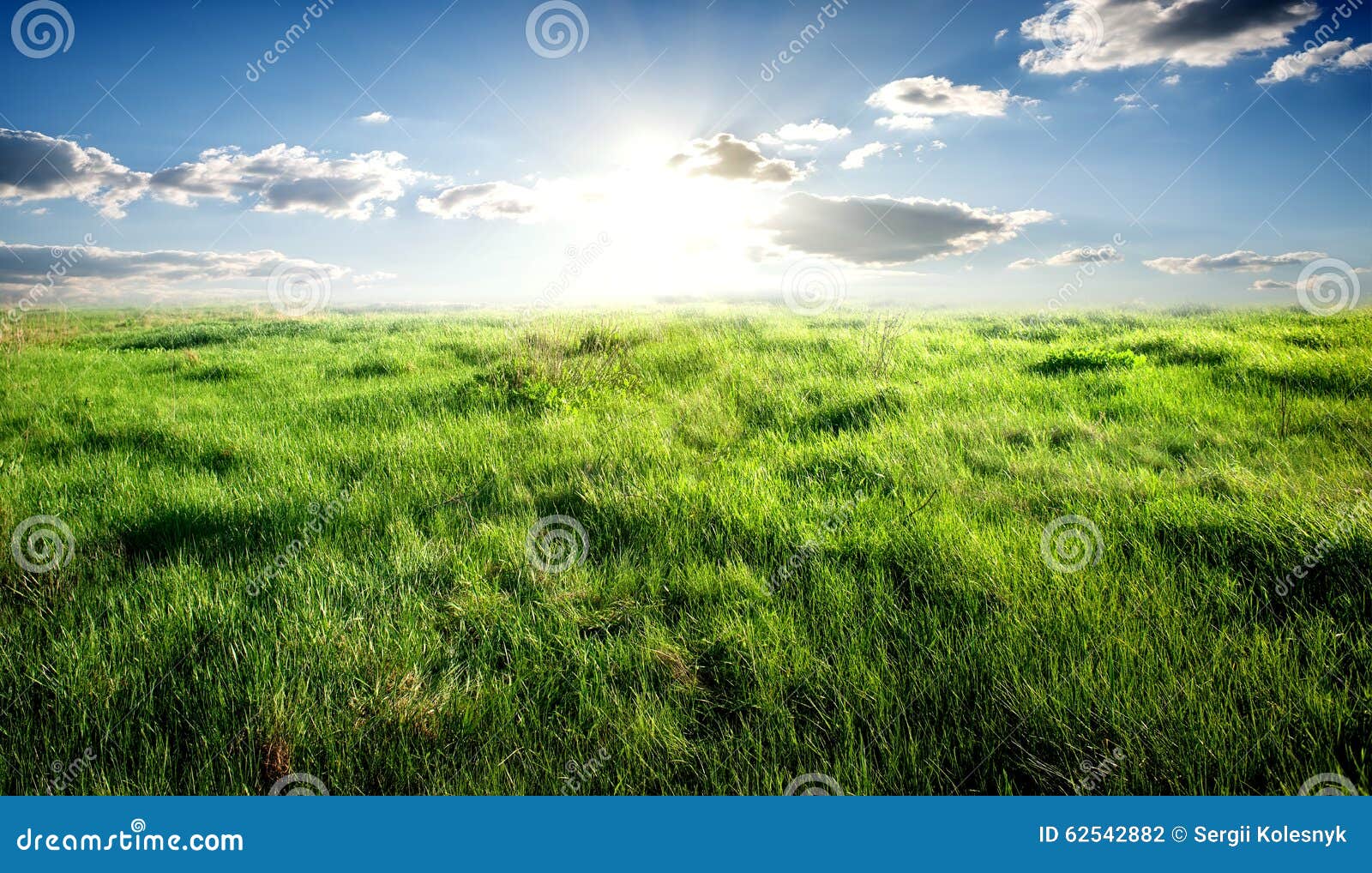 Grass and sunlight stock photo. Image of cloudscape, lawn - 62542882