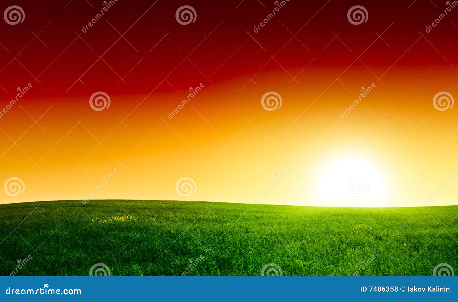 Grass and sunset stock photo. Image of freedom, horizon - 7486358