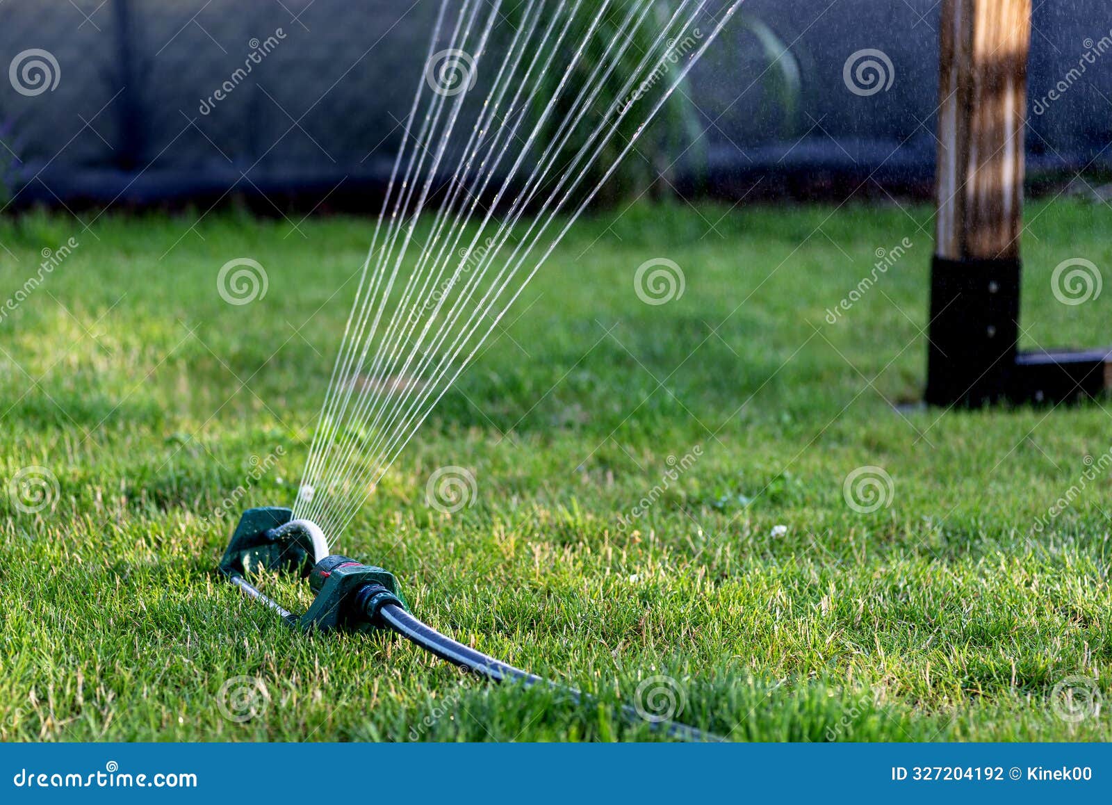 Grass Swing Sprinkler Watering the Lawn in the Backyard of a House ...