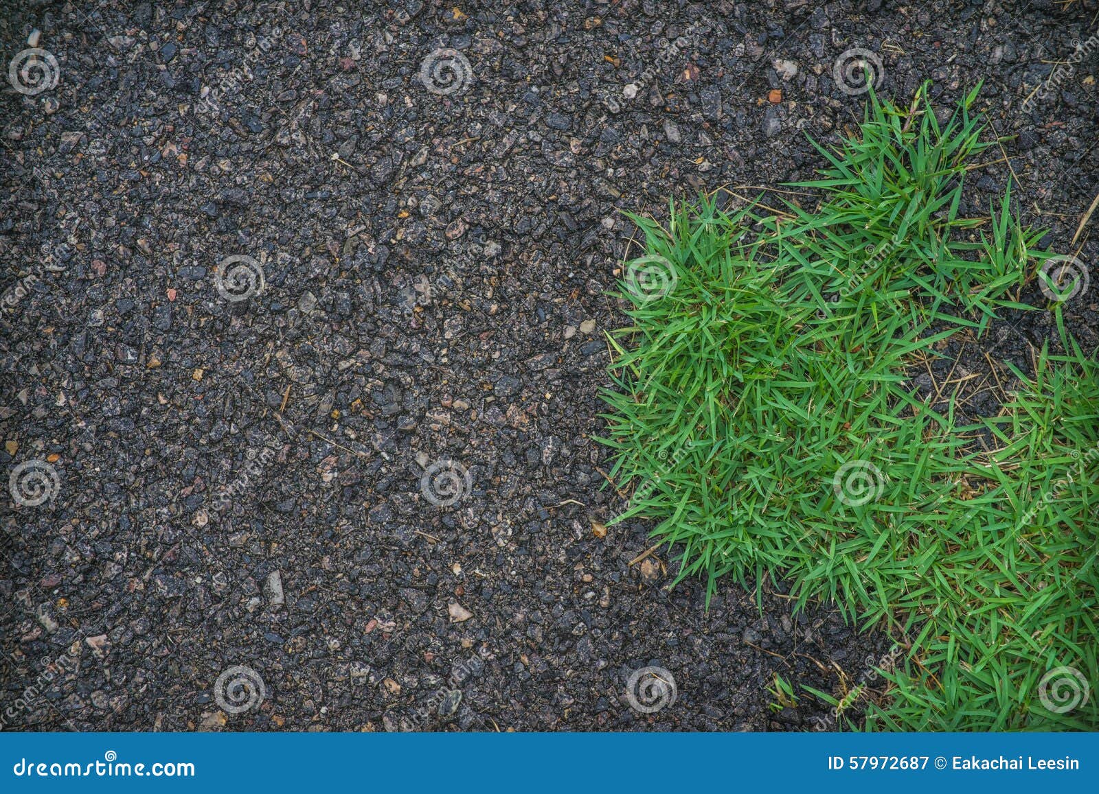 Grass and tarmac stock image. Image of lane, view, industry - 57972687