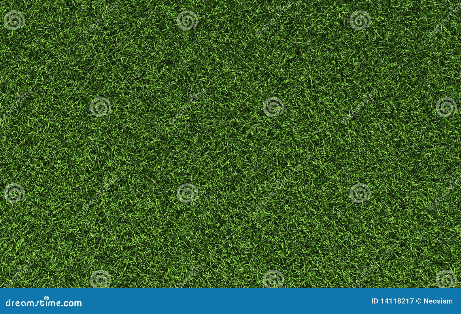 Grass Texture stock image. Image of field, location, background - 14118217