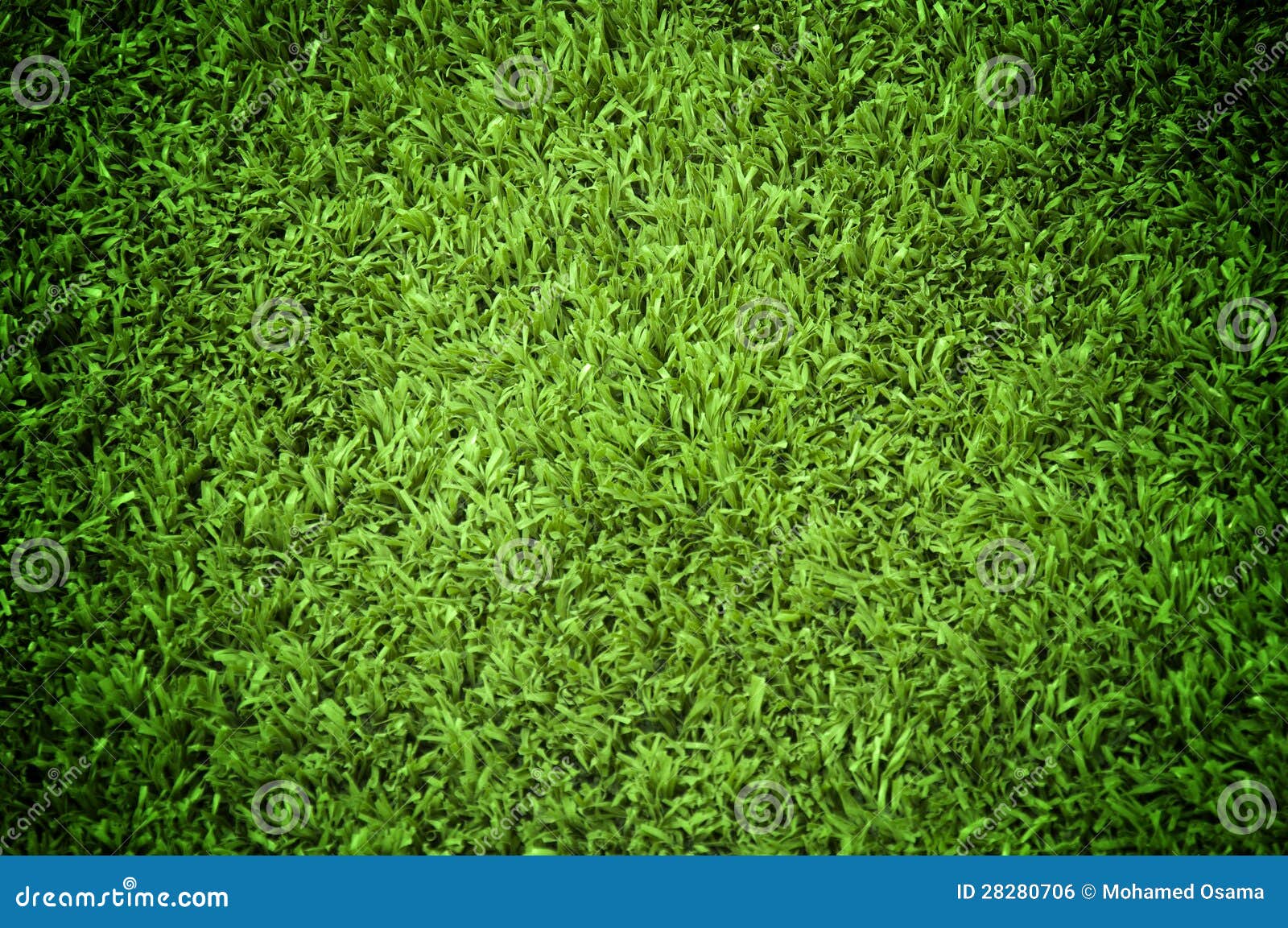 Grass Texture From A Field In Springtime, Design Details Royalty-Free ...