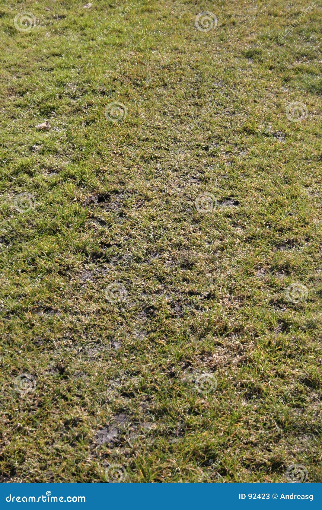 Grass texture stock image. Image of surface, regular, texture - 92423
