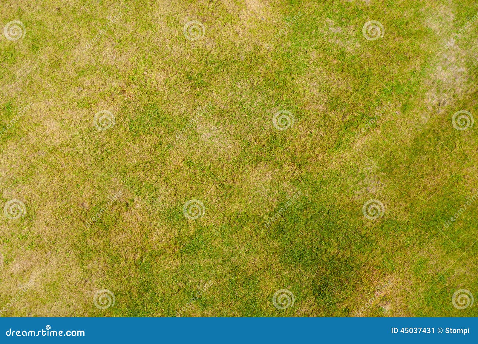 Grass texture stock image. Image of lawn, field, texture - 45037431