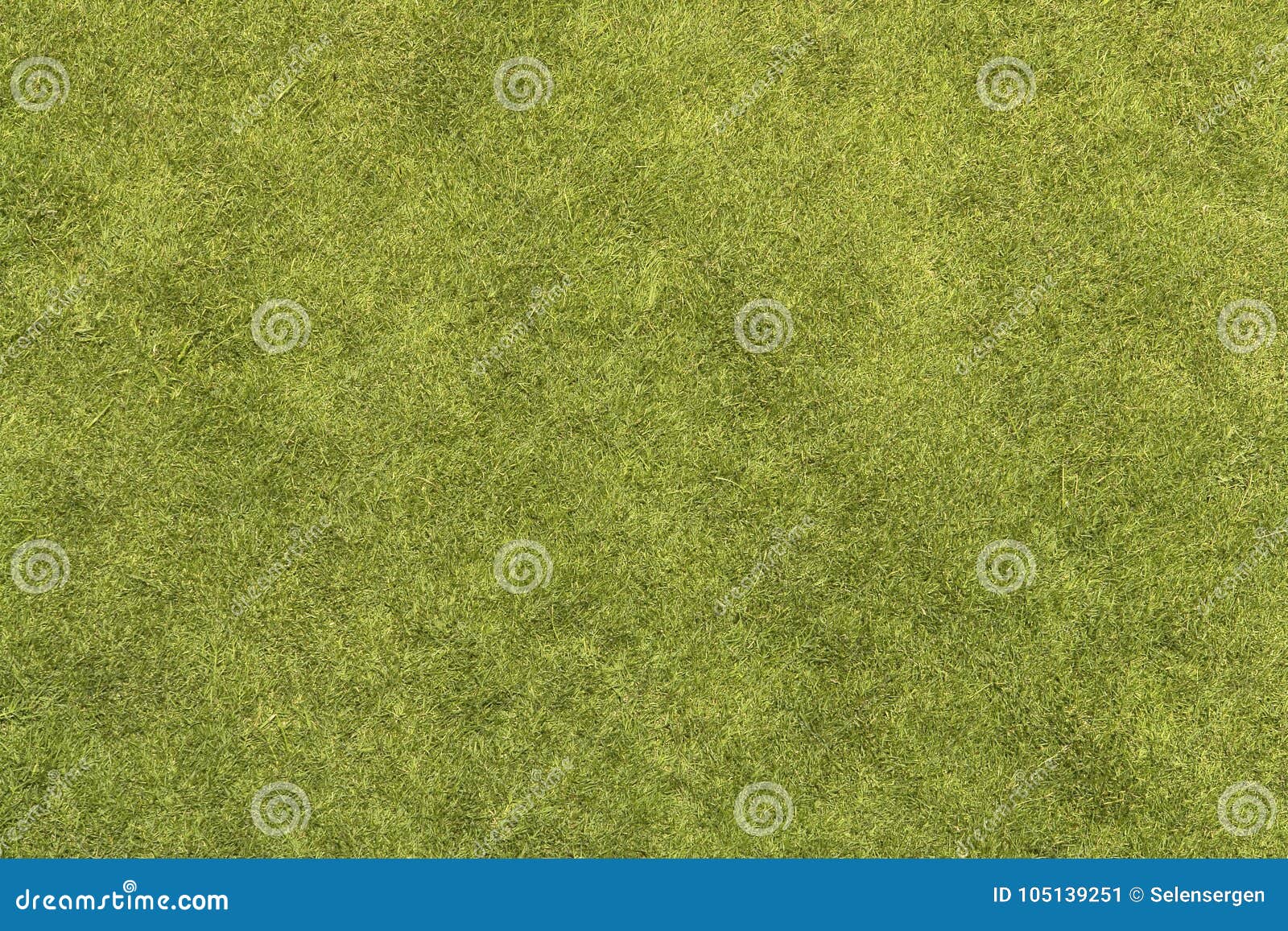 Red Grass Texture Stock Photography | CartoonDealer.com #25848308