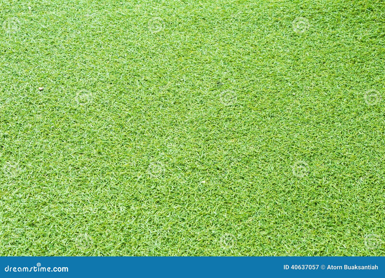 Grass texture stock image. Image of green, field, natural - 40637057