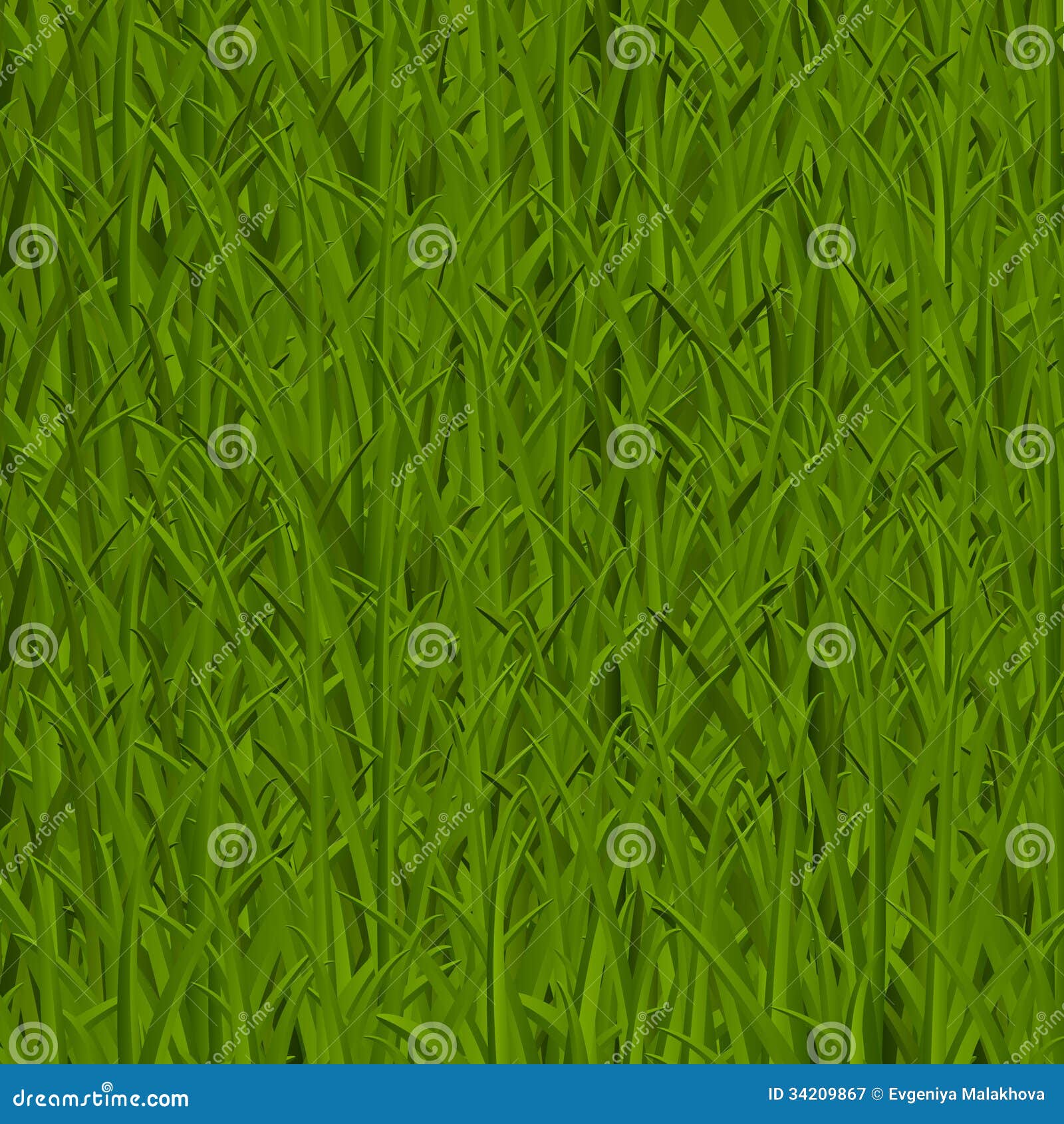 Grass texture stock vector. Illustration of botany, natural - 34209867