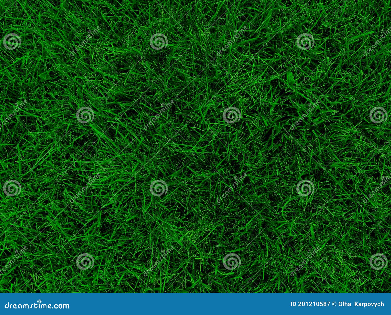 Grass Texture Top View. Fresh Bright Green Grass Stock Image - Image of ...