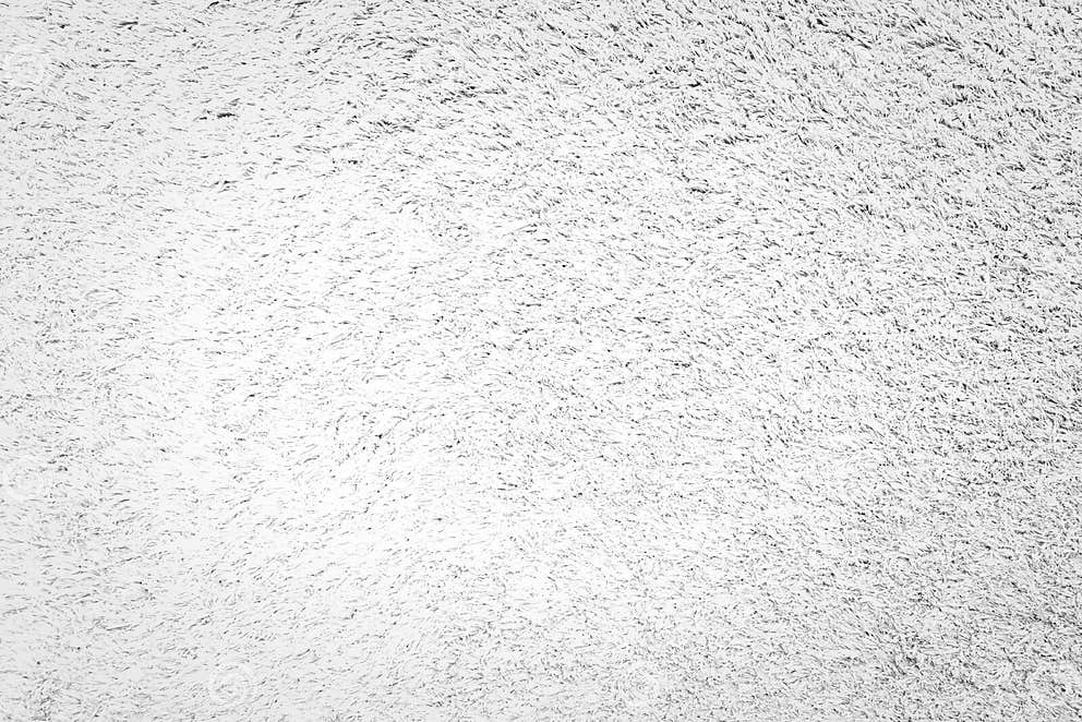 Grass texture White color stock image. Image of lawn - 55793231