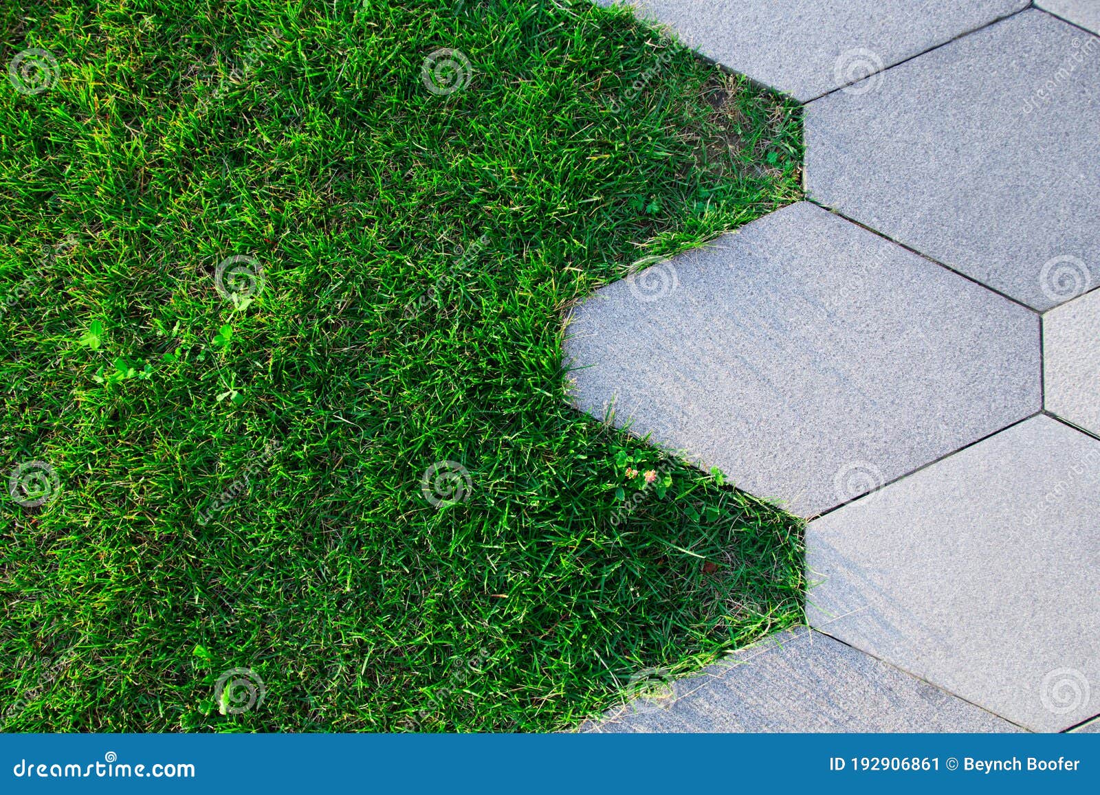 Grass and Tiles Close-up, Decorative Pattern of the Floor in the Garden ...