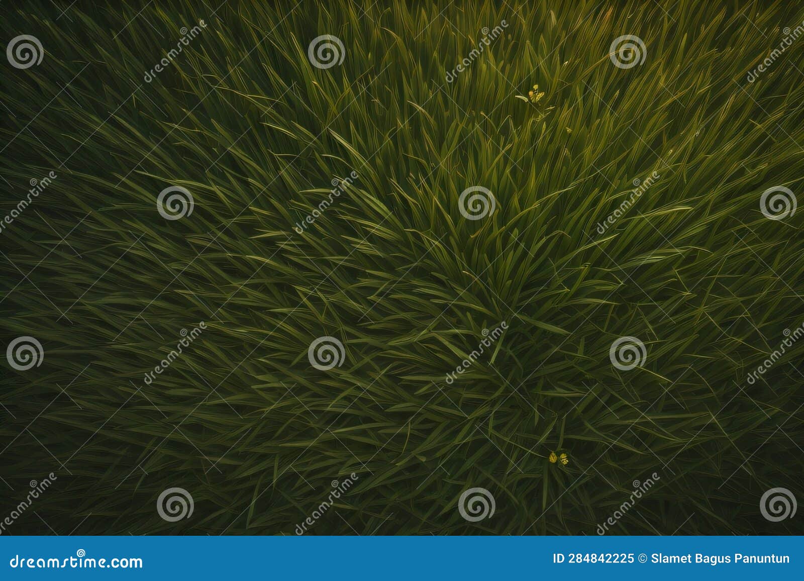 Grass Top View for Background Stock Illustration - Illustration of ...