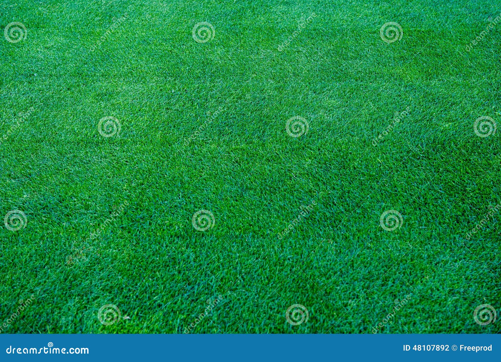 Grass-Top view-Background stock photo. Image of grass - 48107892