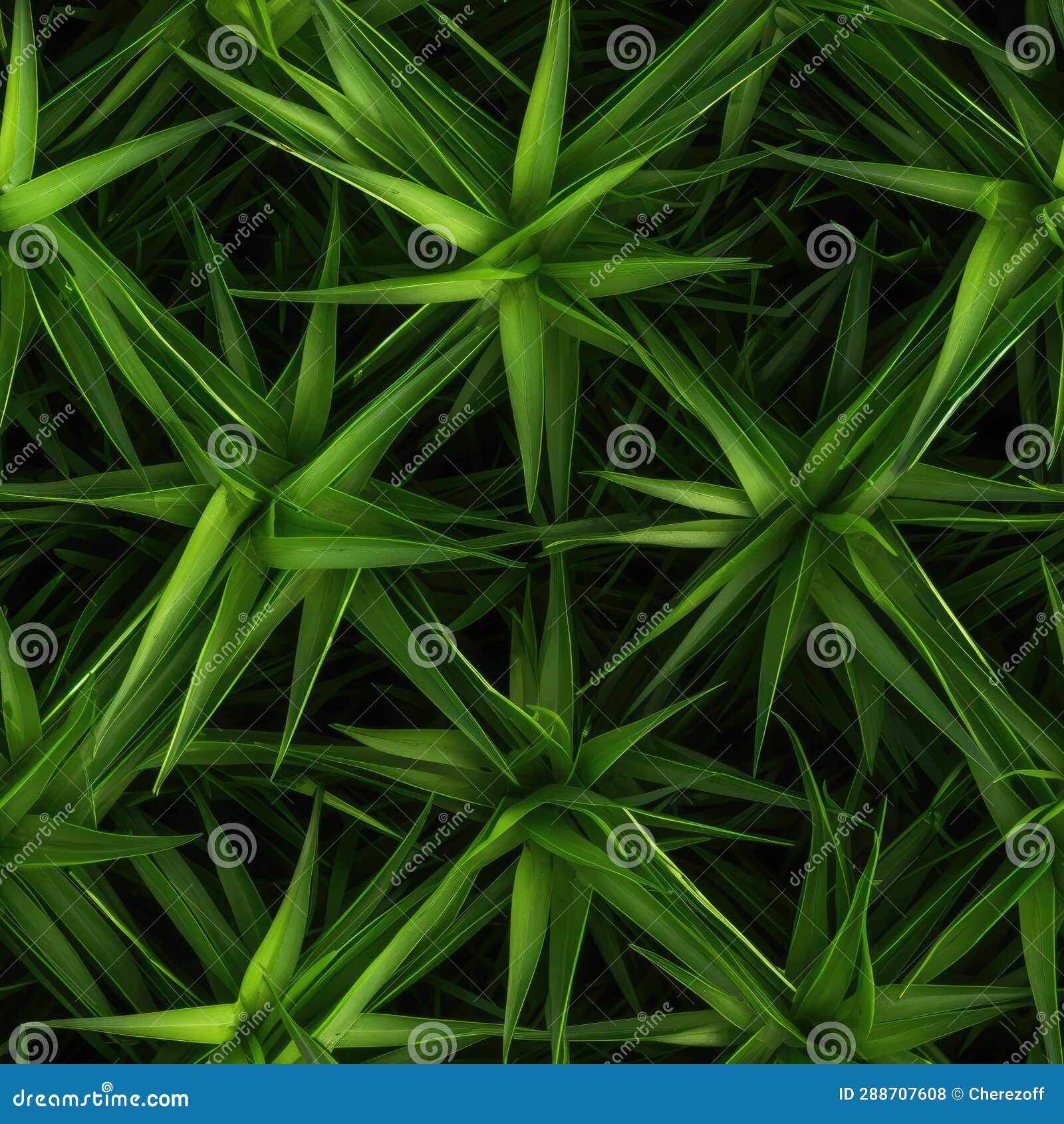 Minecraft Grass Top Texture