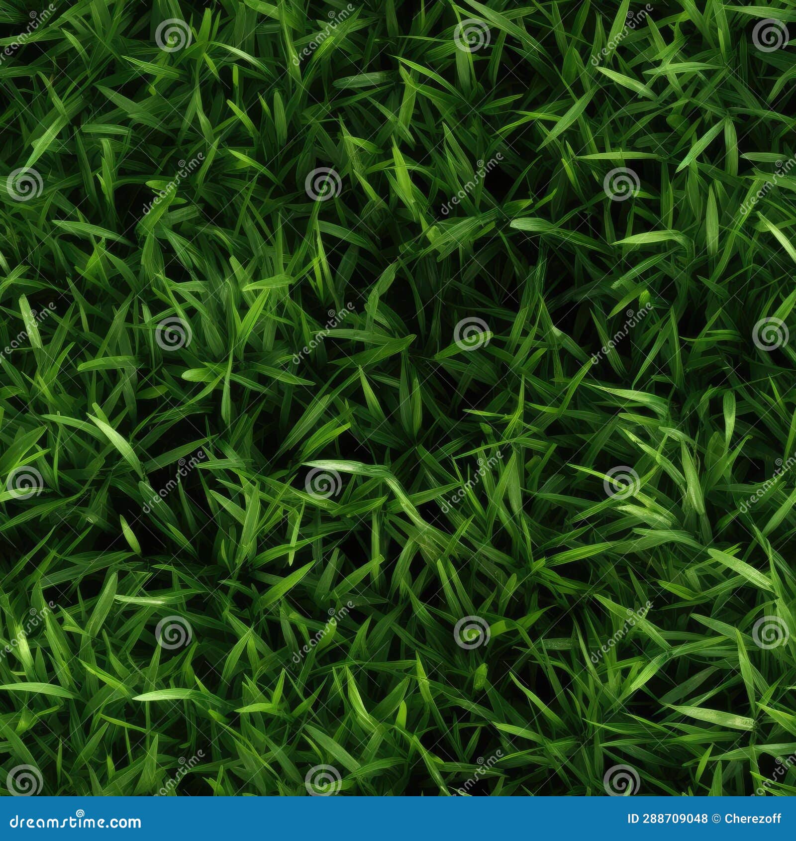 Grass Top View, Seamless Texture Stock Photo - Image of environment ...