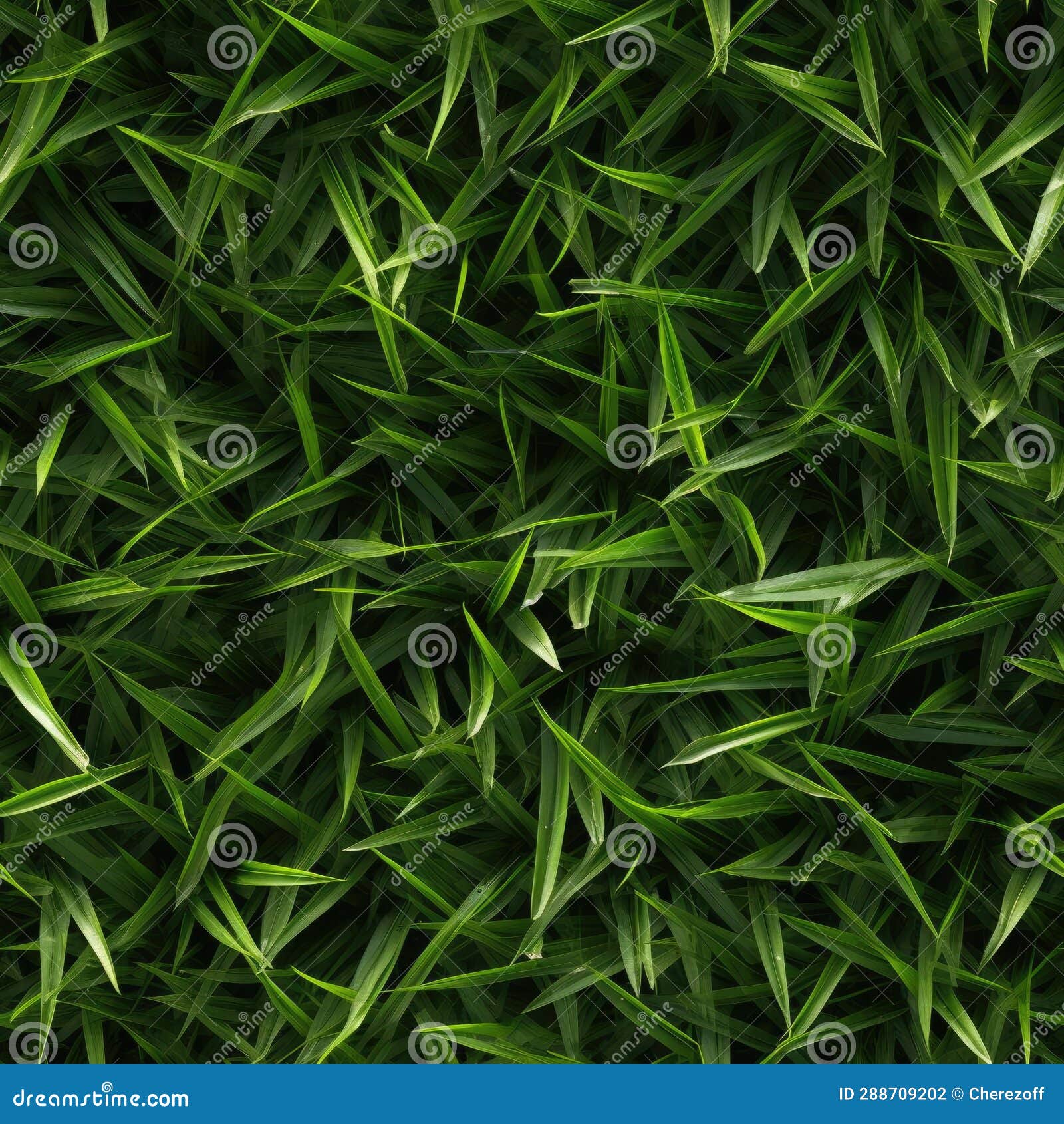 Grass Top View, Seamless Texture Stock Photo - Image of grass, pattern ...