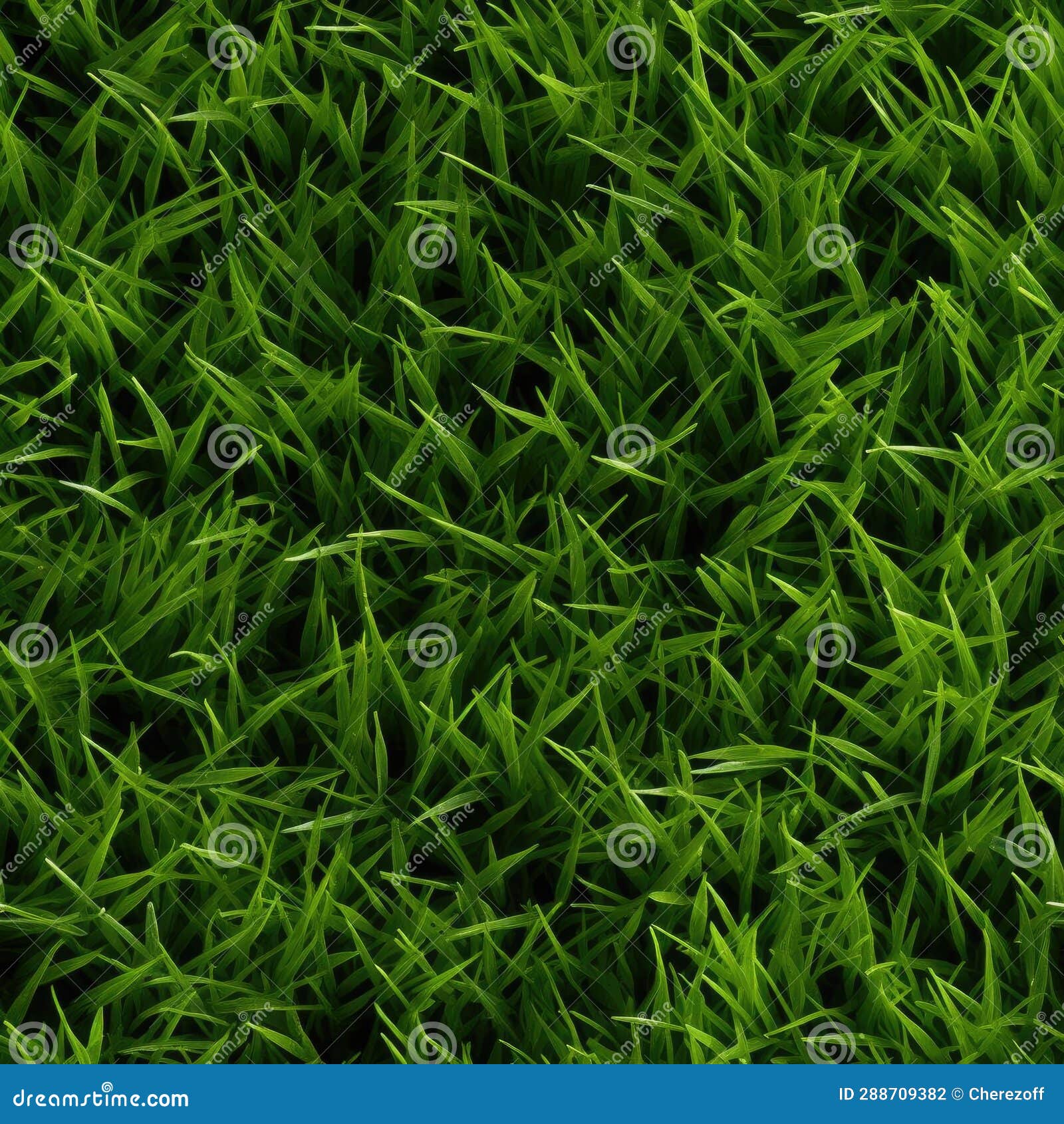 Grass Top View, Seamless Texture Stock Photo - Image of environment ...