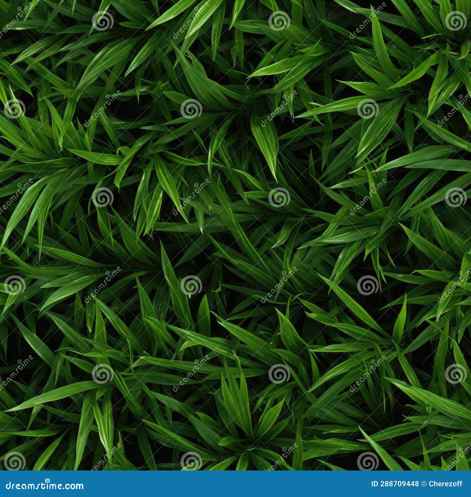 Grass Top View, Seamless Texture Stock Photo - Image of environment ...